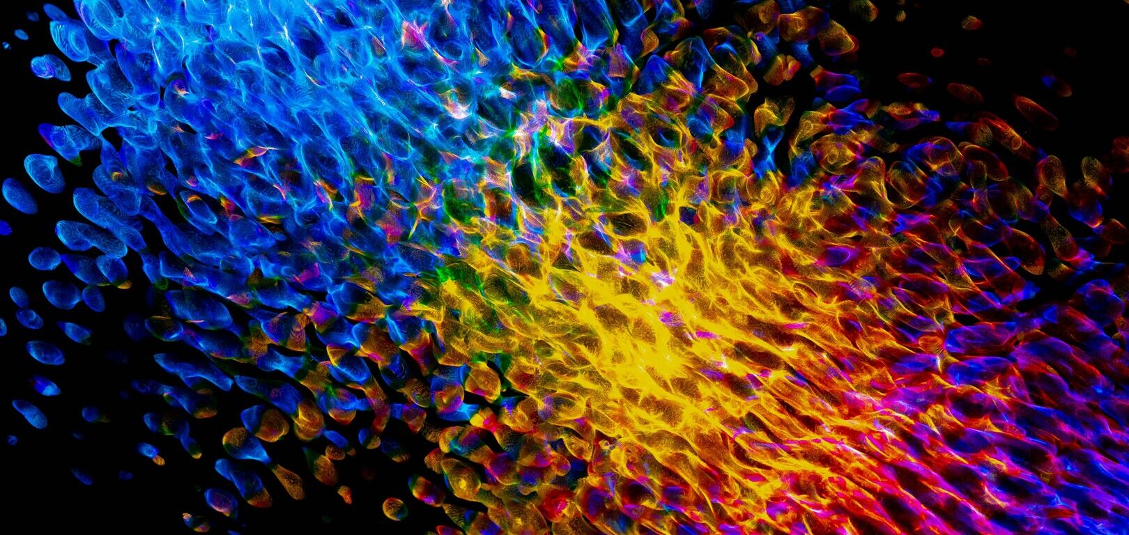 Strengthen dual-use technologies by enhancing EU defence funding - CESAER